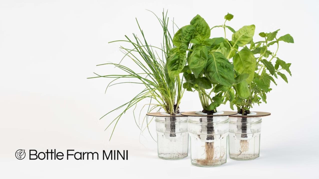 Mini: Grow fresh food anywhere - Backercrew