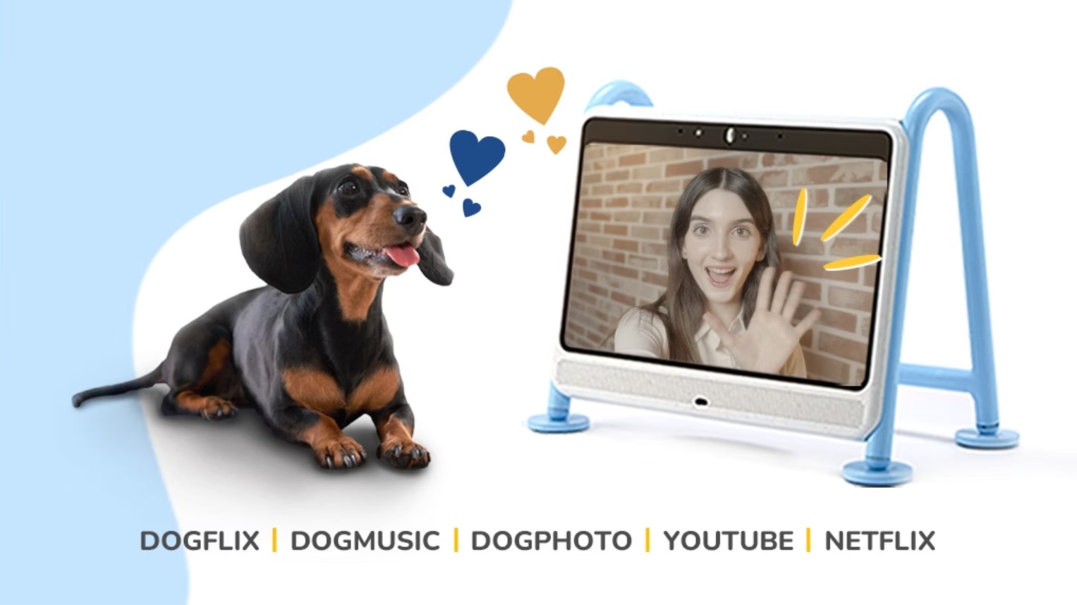 DOGSPLAY: The Interactive TV with Unlimited Pet Media - BackerCrew