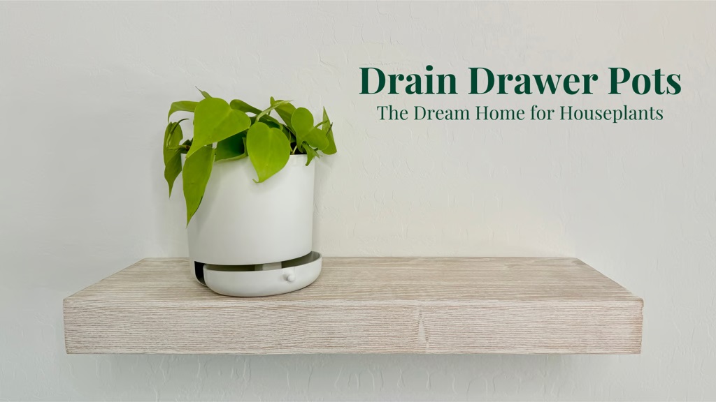 Drain Drawer Pots: The Dream Home for Houseplants - BackerCrew