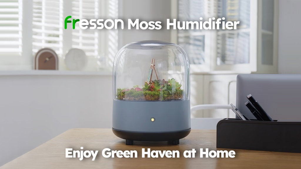 Fresson Moss Humidifier: Enjoy Green Haven at Home - Backercrew